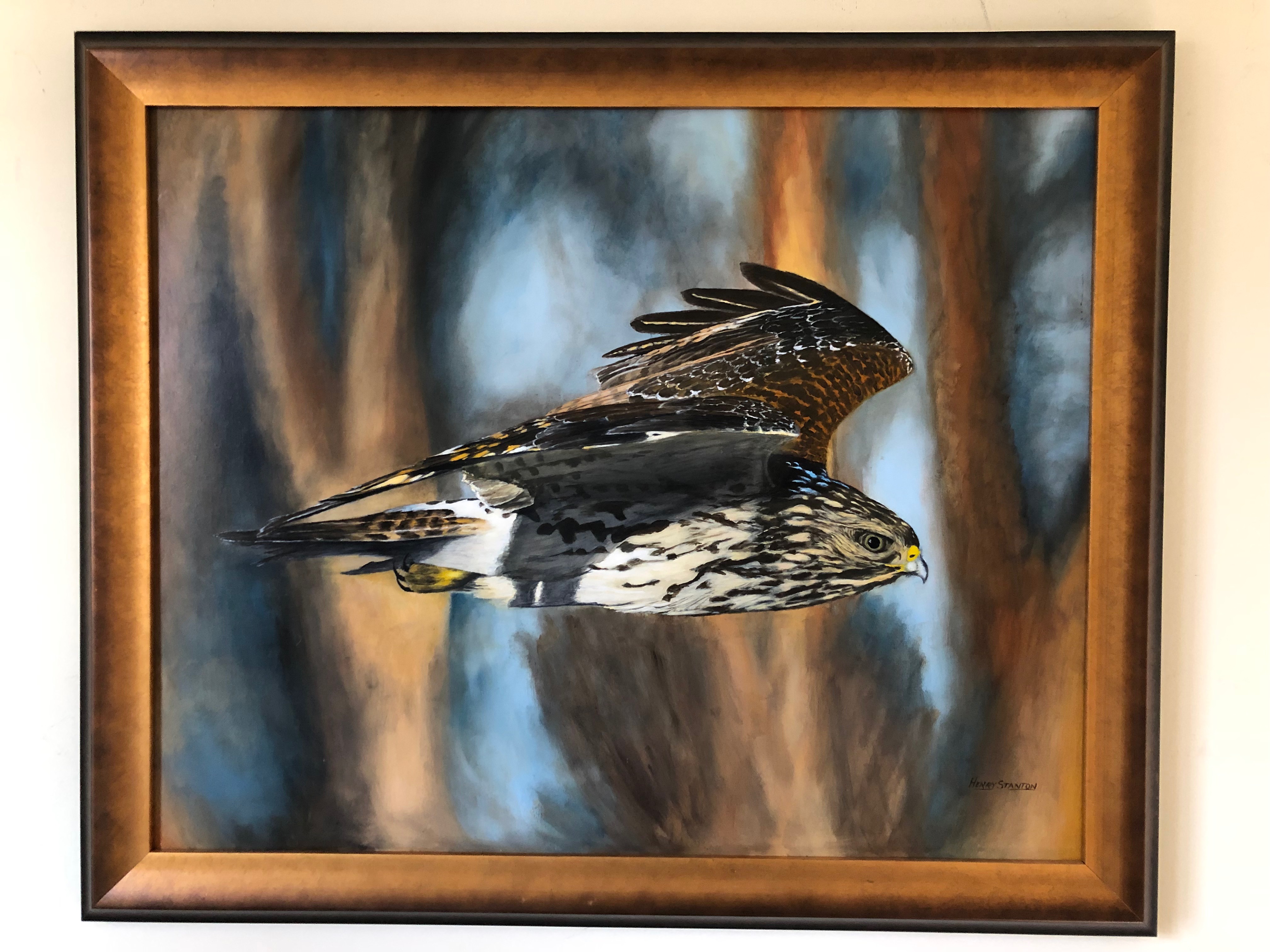 RED-SHOULDERED HAWK AT SPEED – © BrightPort Fine Arts & Literature